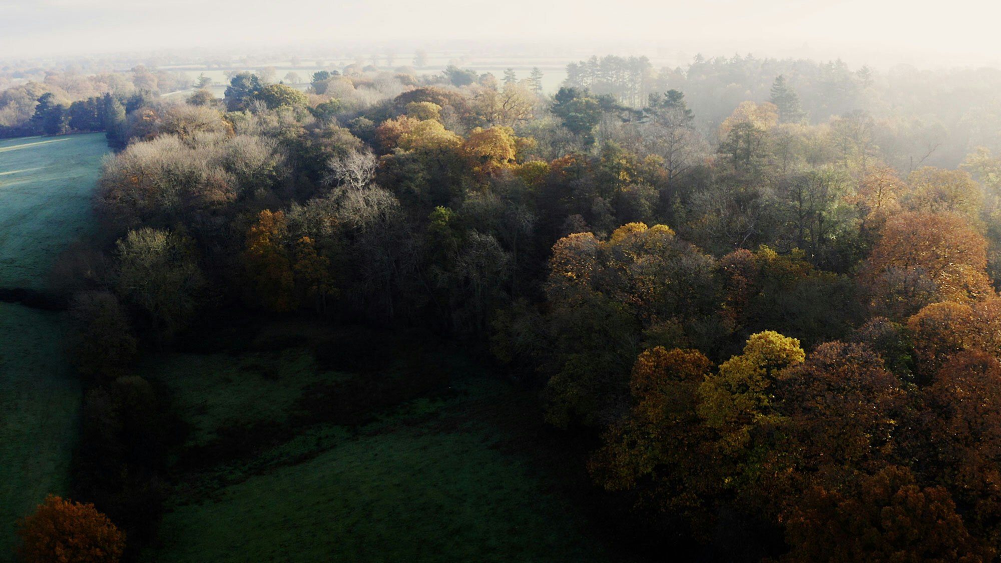 Tendring Colchester Borders Garden Community, Essex | Haworth Tompkins